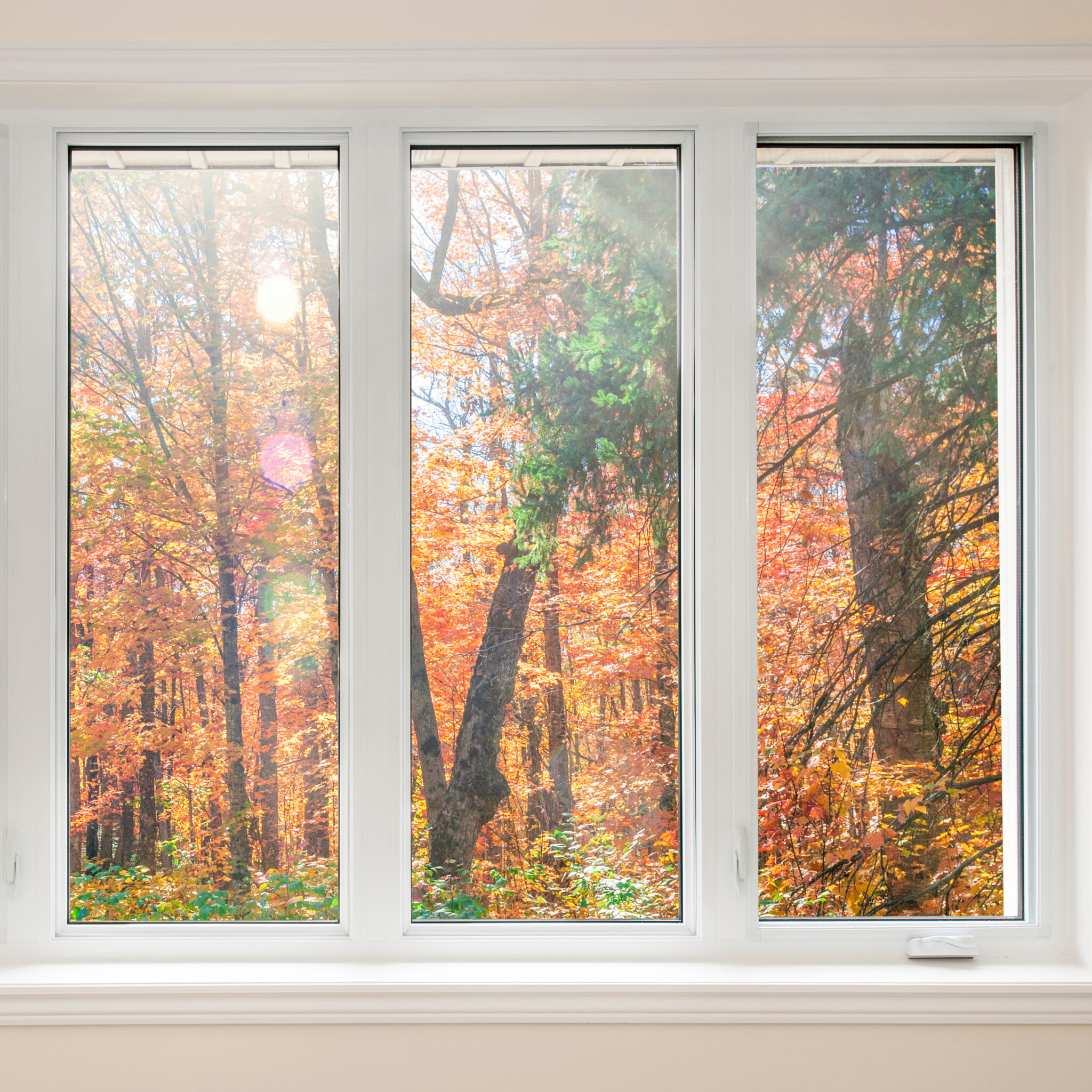Window Replacement: A Complete Guide for Homeowners | The Third Estimate